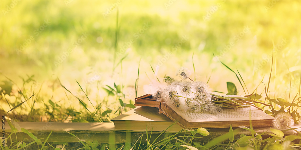 old books and dandelions on green summer background. summer season ...