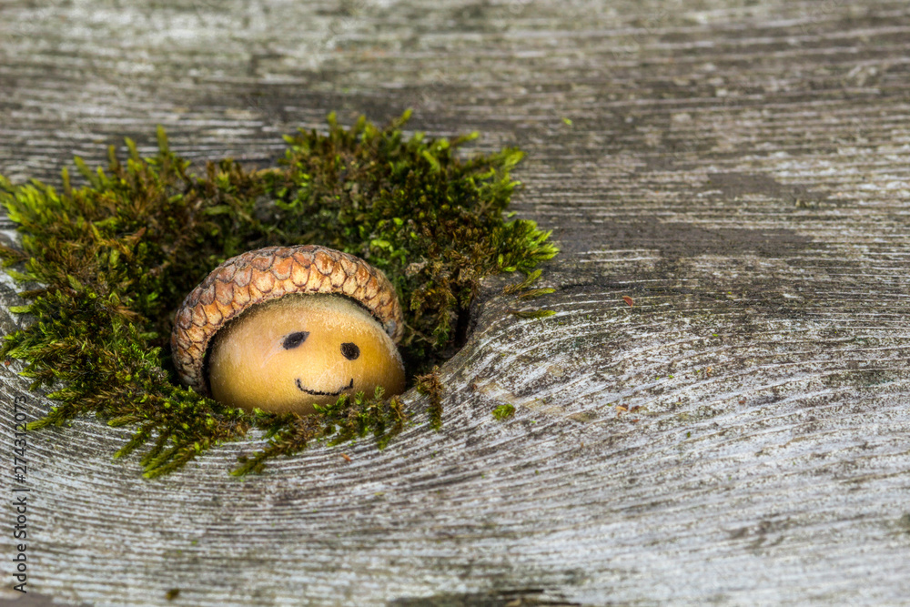 Cute fall scene, with a happy acorn peeking out of a mossy hole with ...