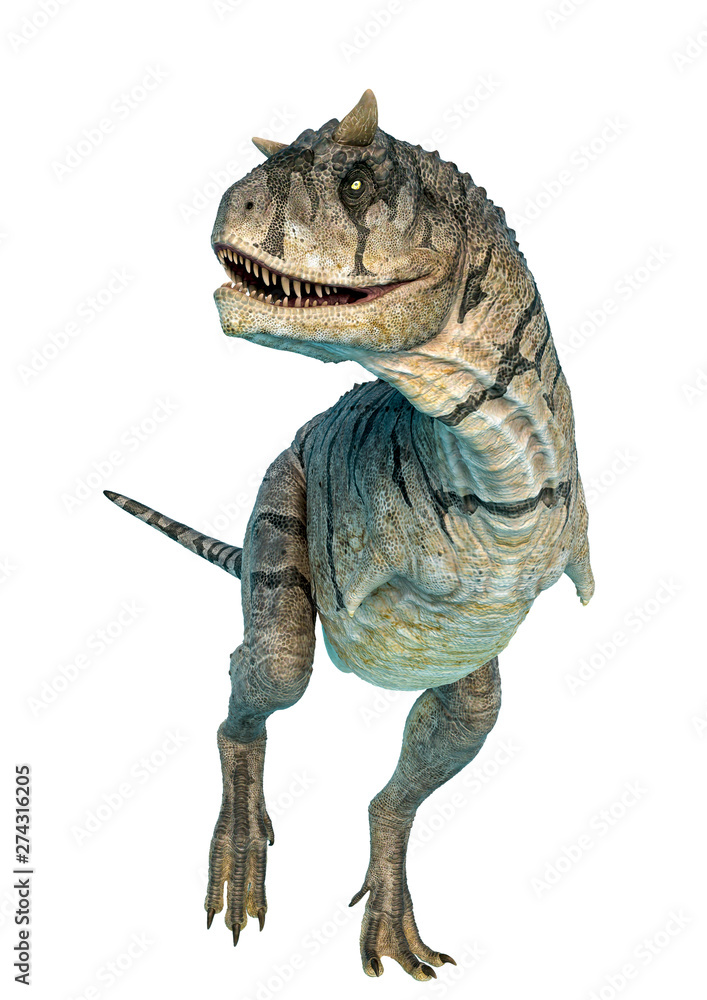 carnotaurus sastrei side view in a white background Stock Illustration ...