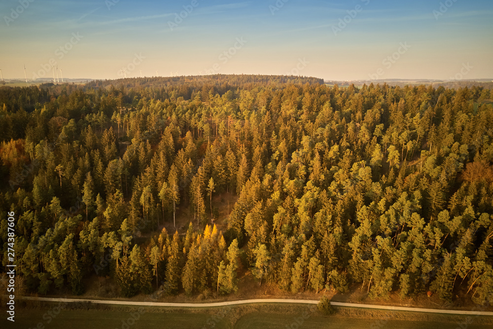 Forest in autumn with sky from above Stock Photo | Adobe Stock