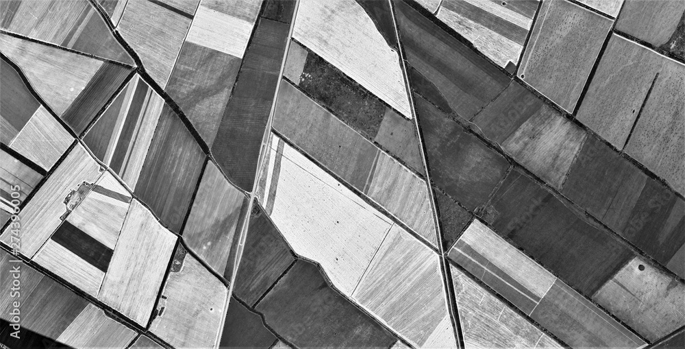 The power of the wind, allegory, abstract naturalism, Black and white ...