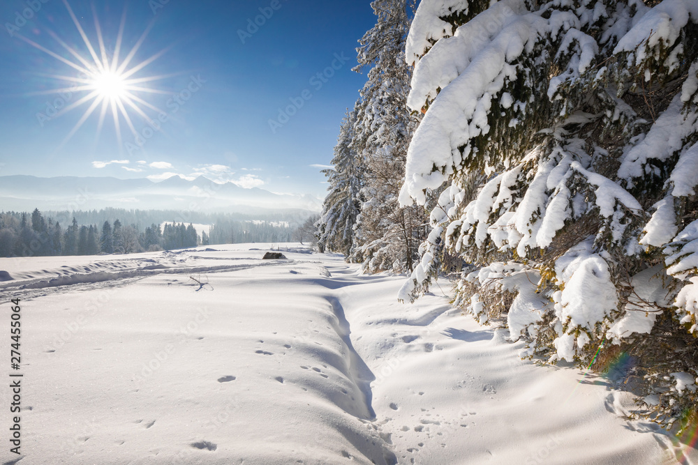 Tatra Mountain in winter, landscape wiht wiev of Tatra Poland Pieniny ...