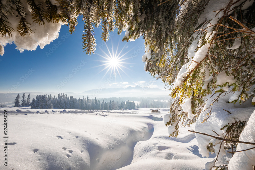 Tatra Mountain in winter, landscape wiht wiev of Tatra Poland Pieniny ...