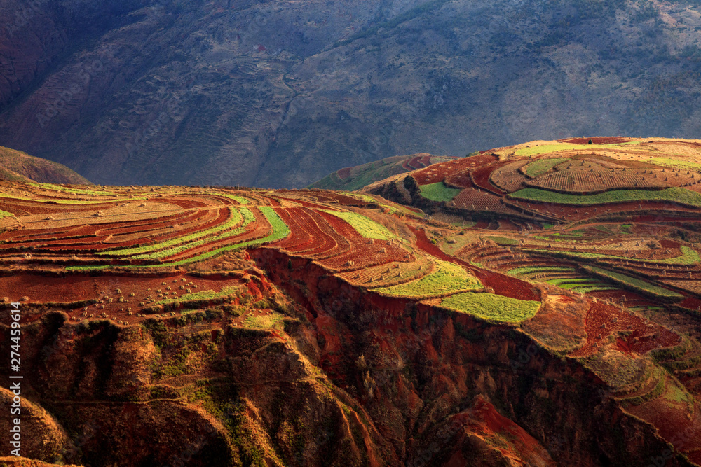Dongchuan Red Earth Multi-Colored Terraces - Red Soil, Green Grass ...