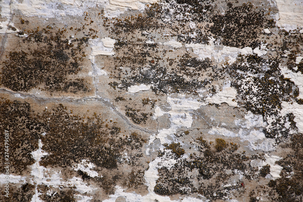 Grungy Cracked Wall Texture. Old and grunge texture. Decrepit, moldy ...