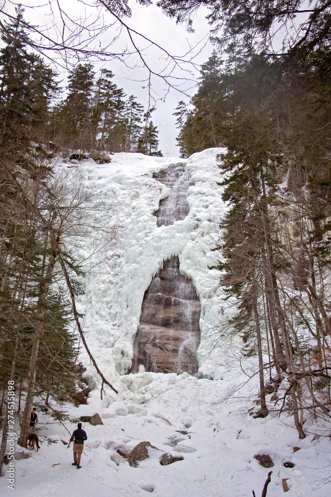 Arethusa Falls Waterfall in the White Mountains of New Hampshire in ...