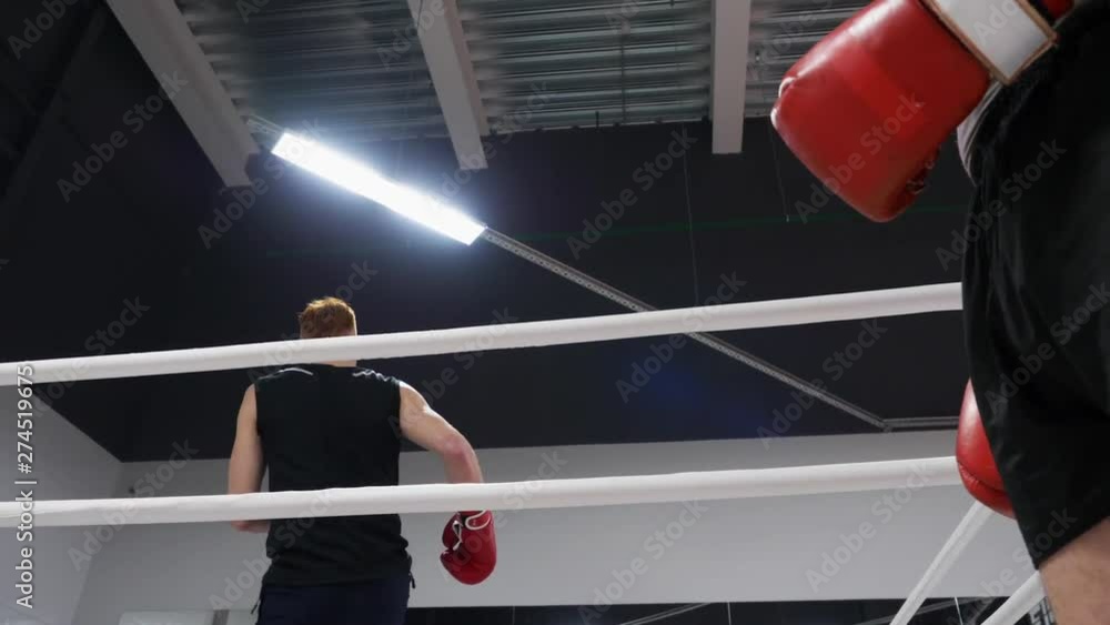 Boxer man discussing training plan on boxing ring in fight club. Man ...