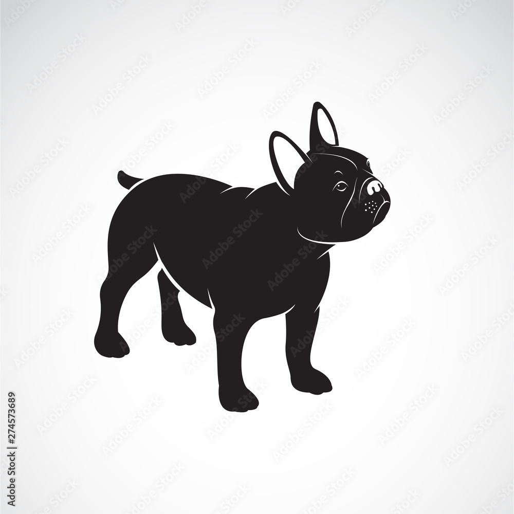 Vector of bulldog design on white background. Pet. Animals. Dog logo or ...