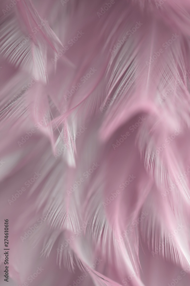 Image nature art of wings bird,Soft pastel detail of design,chicken ...