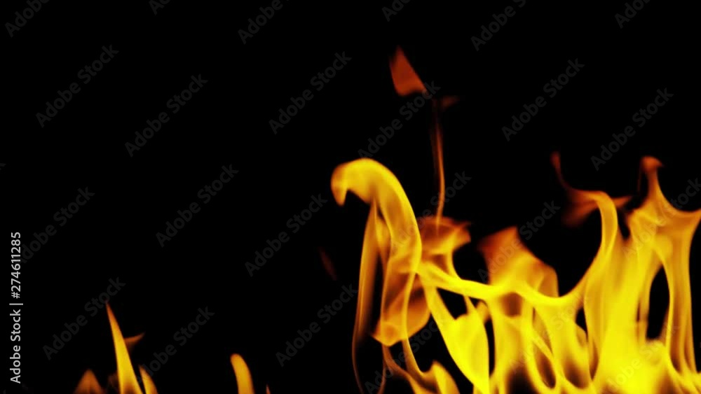 Fire Flames Igniting And Burning - Slow Motion. A line of real flames ...