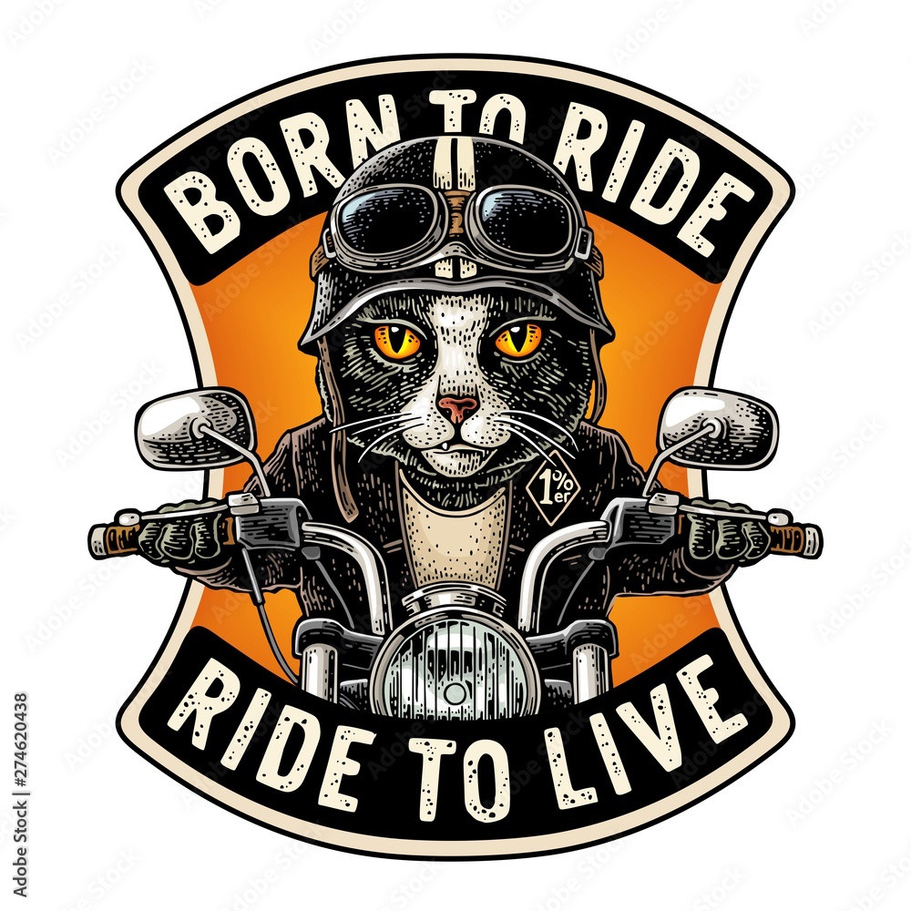 Cat driving a motorcycle rides. Vector vintage engraving Stock Vector ...