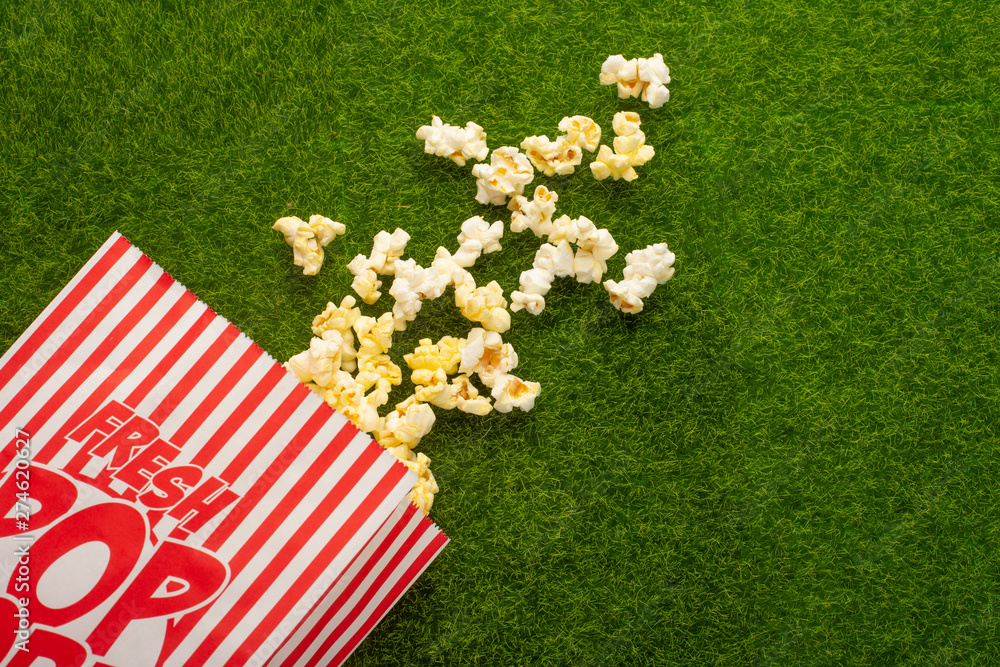 Packing with popcorn on a green lawn. Grass. Watching films on nature ...