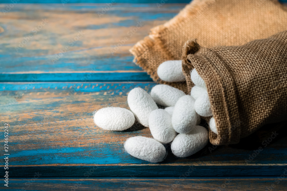 white silk cocoon Stock Photo | Adobe Stock