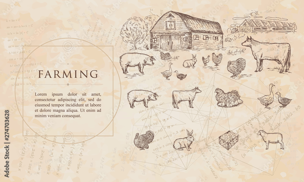 Farming. Cows, geese, chickens, pigs, turkey, farm house. Renaissance ...