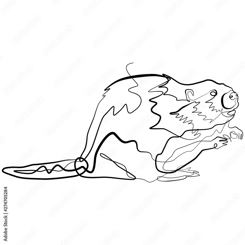 Beaver one line drawing. Continuous line Wildlife Animal Vector Art ...
