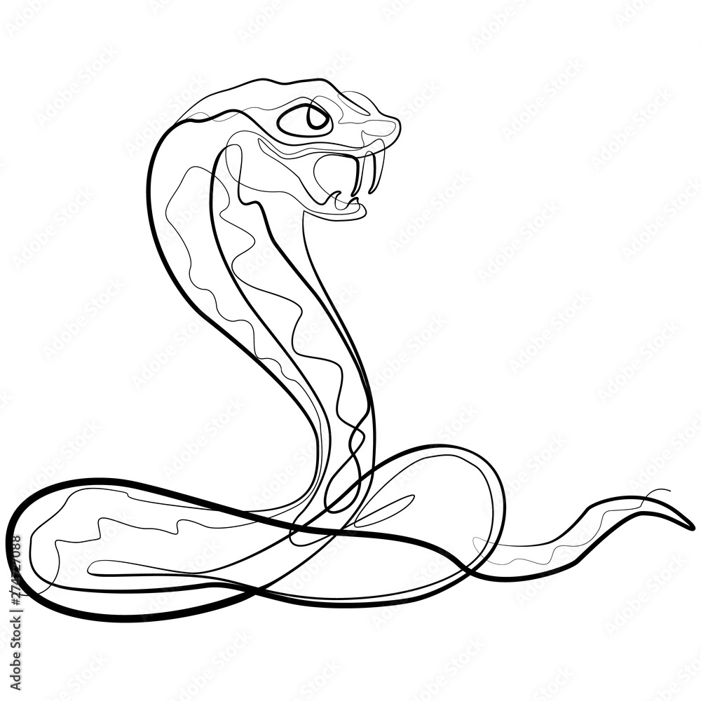 Snake Line Drawing Clipart Best
