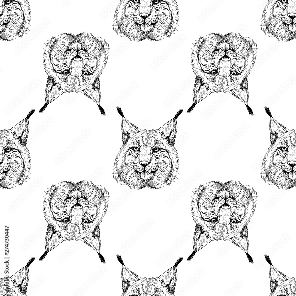 Seamless pattern of hand drawn sketch style portraits of lynx isolated ...