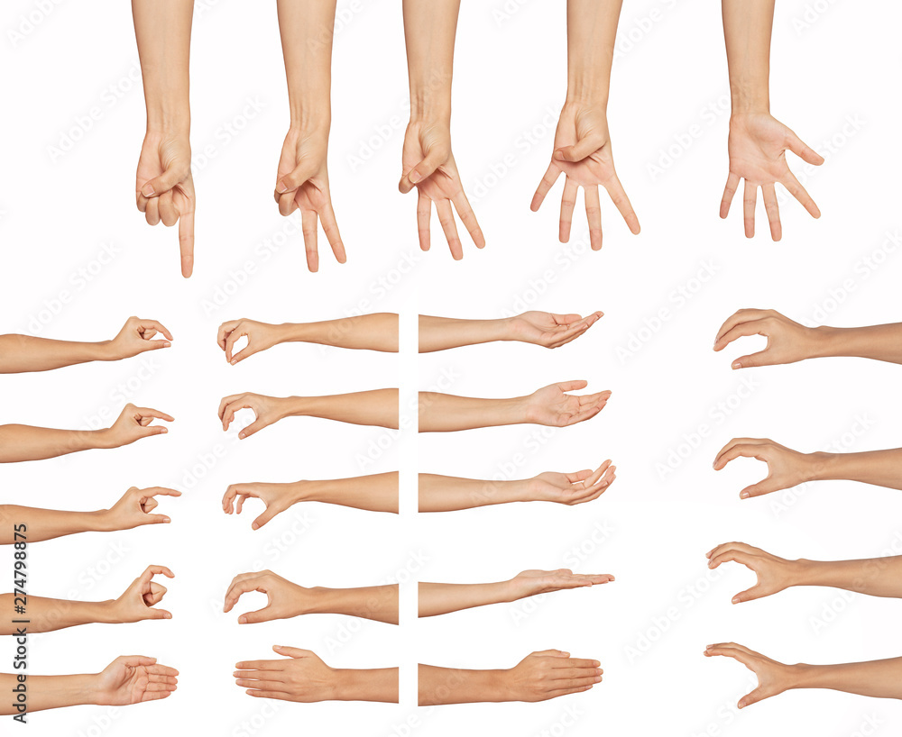 Multiple female caucasian hand gestures isolated over the white background, set of multiple ...
