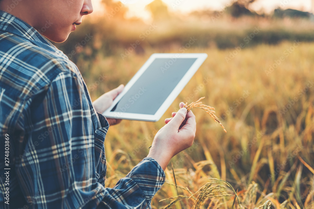 Smart farming Agricultural technology and organic agriculture Woman ...