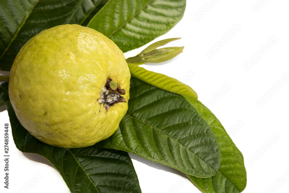Guava fruit with leaves isolated white background Stock Photo | Adobe Stock