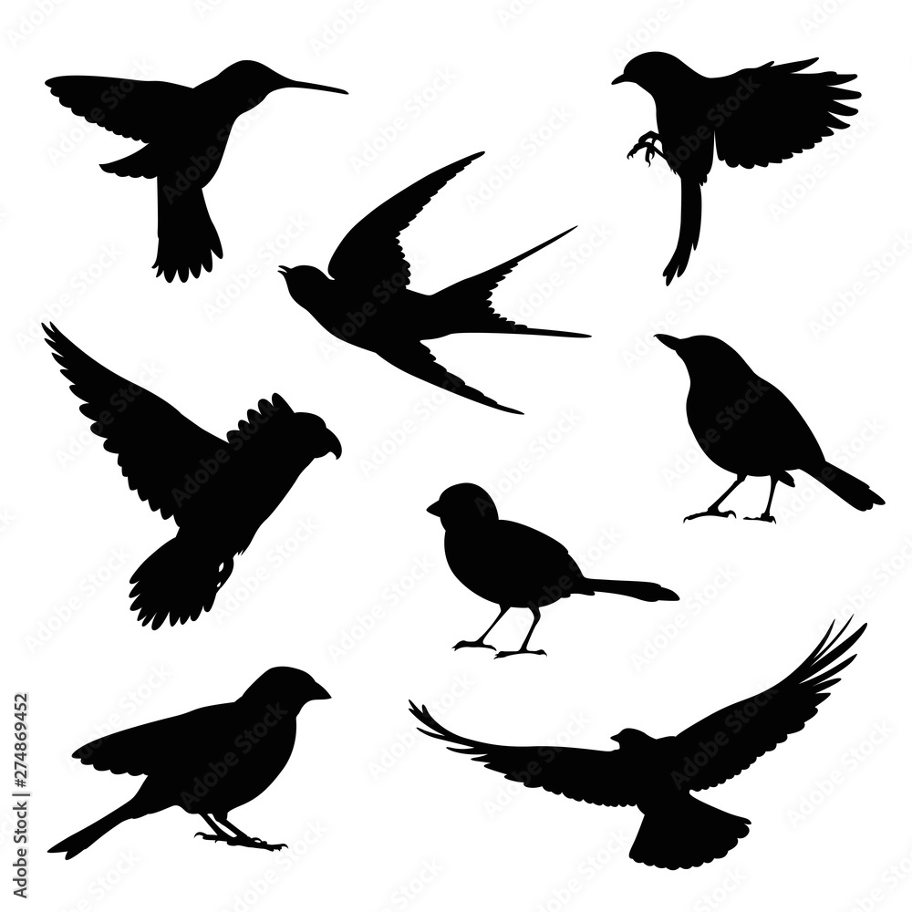 bird silhouette illustration set Stock Vector | Adobe Stock