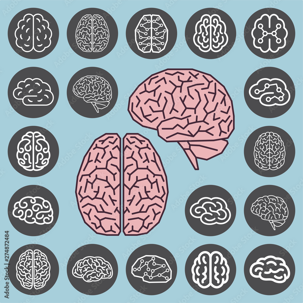 Human brain anatomy. Set of multiple views. Left Brain versus Right ...