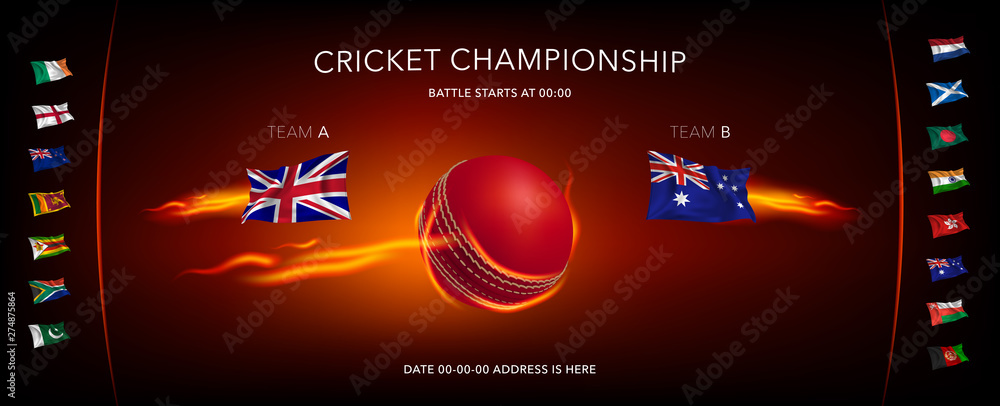 Cricket game vector background, illustration. Sportive style banner ...