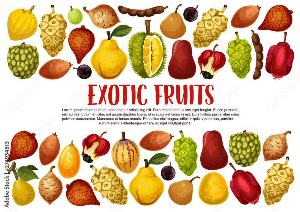 Exotic fruits and Asian tropical berries Stock Vector | Adobe Stock