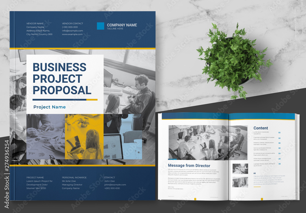 Business Project Proposal Layout with Blue Accents Stock Template ...