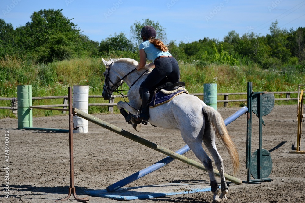 Cavalière et son cheval qui sautent un obstacle. Stock-Foto | Adobe Stock