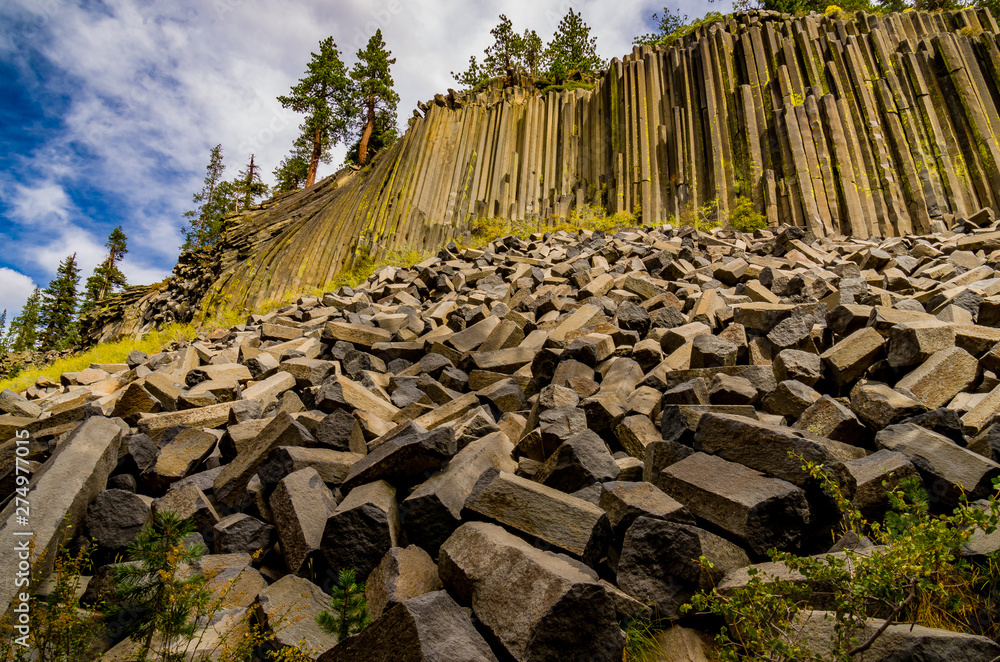 Columns in Nature Stock Photo | Adobe Stock