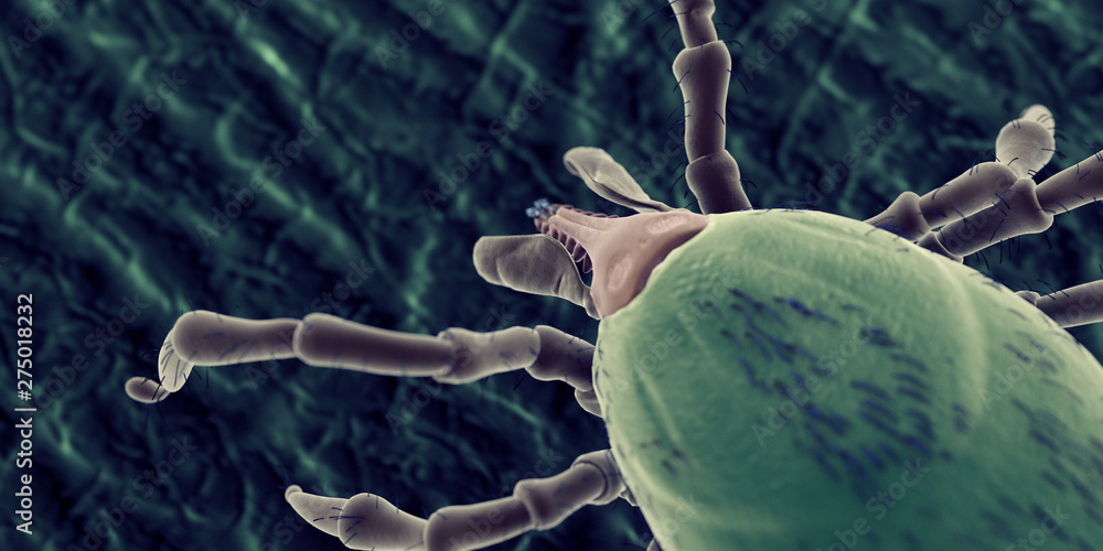 3d rendered illustration of a tick on human skin, sem style Stock ...