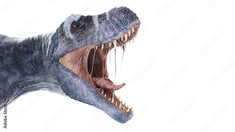 3d rendered illustration of a t-rex isolated on white Stock ...