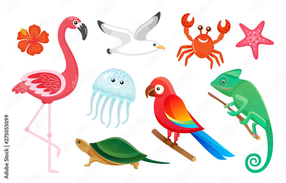 Summer symbols, exotic wild birds and animals vector. Flamingo and gull ...