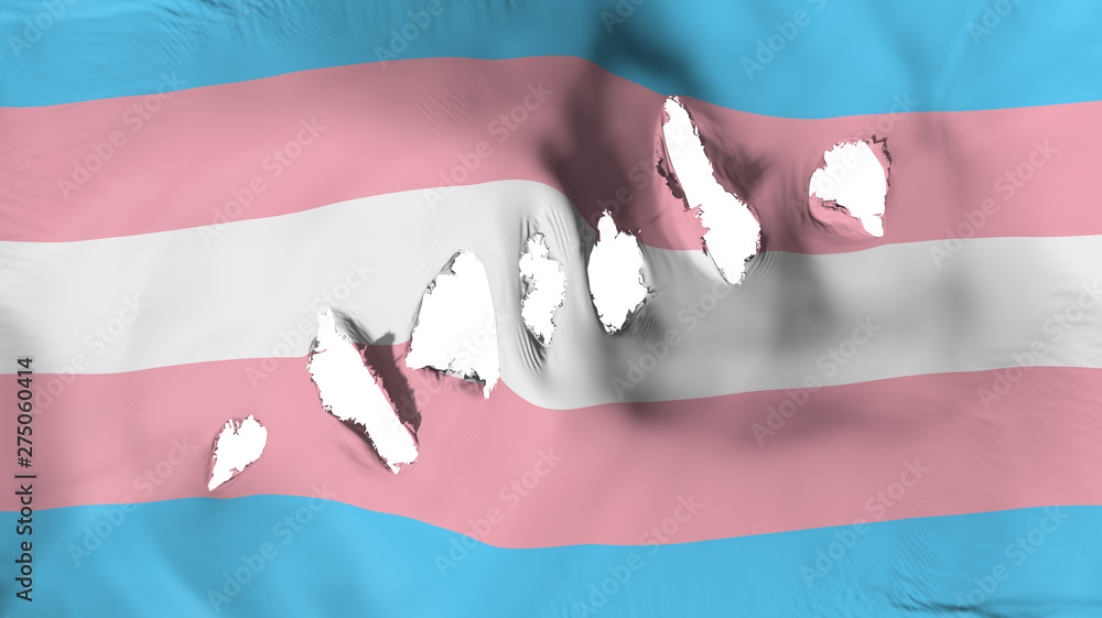 Transgender pride flag perforated, bullet holes, white background, 3d ...