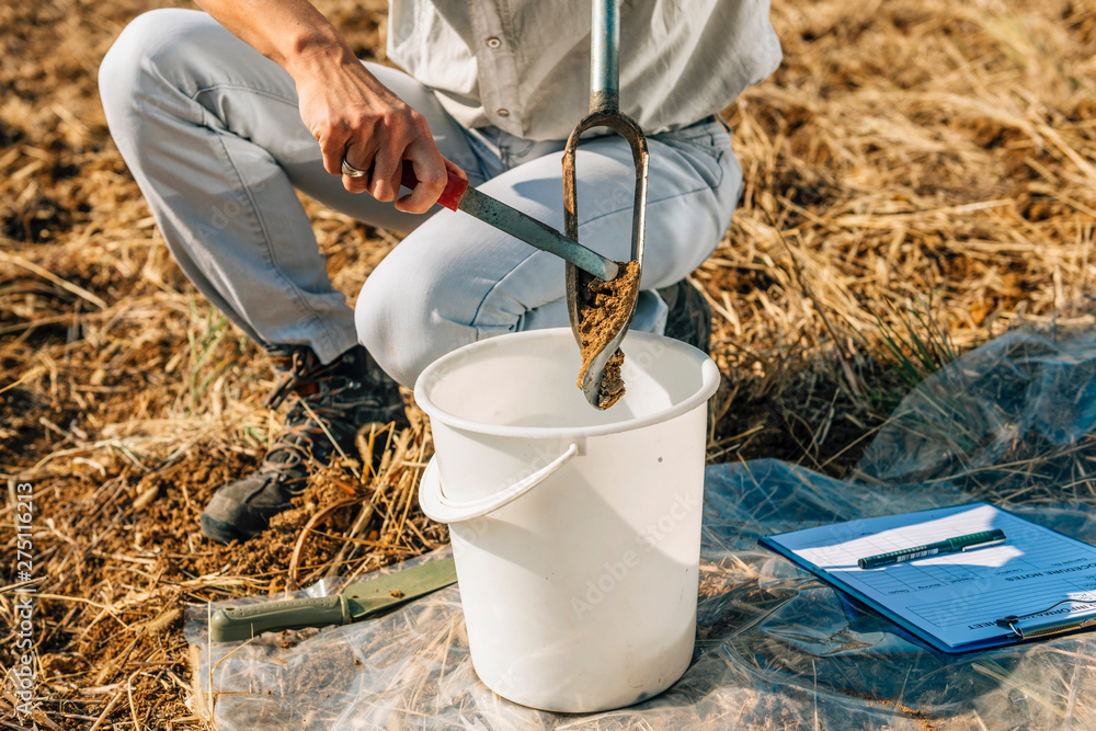 Soil Sampling. Woman Agronomist Taking Sample With Soil Probe Sampler ...