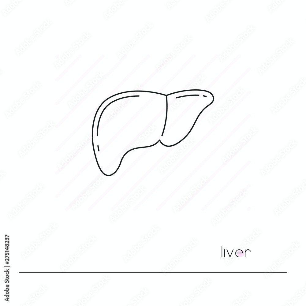 Liver icon isolated. Single thin line symbol of human liver. Human body ...