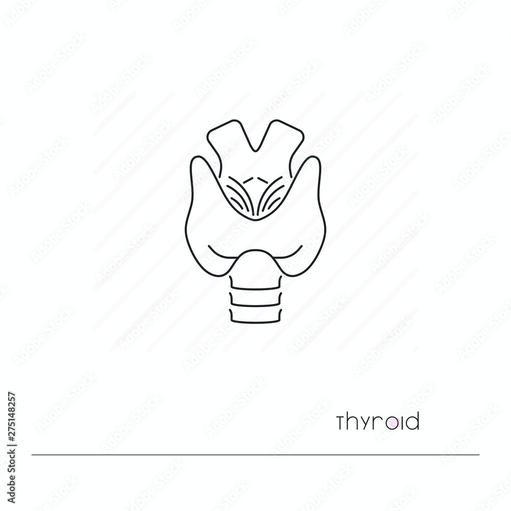 Thyroid icon isolated. Single thin line symbol of thyroid. Human body ...