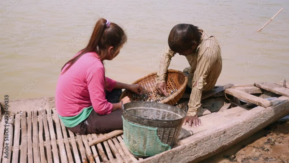 Vidéo Stock Clam diggers (husband and wife) sorting river clams out ...