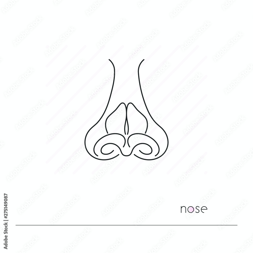 Nose icon isolated. Single thin line symbol of nose. Human body anatomy ...