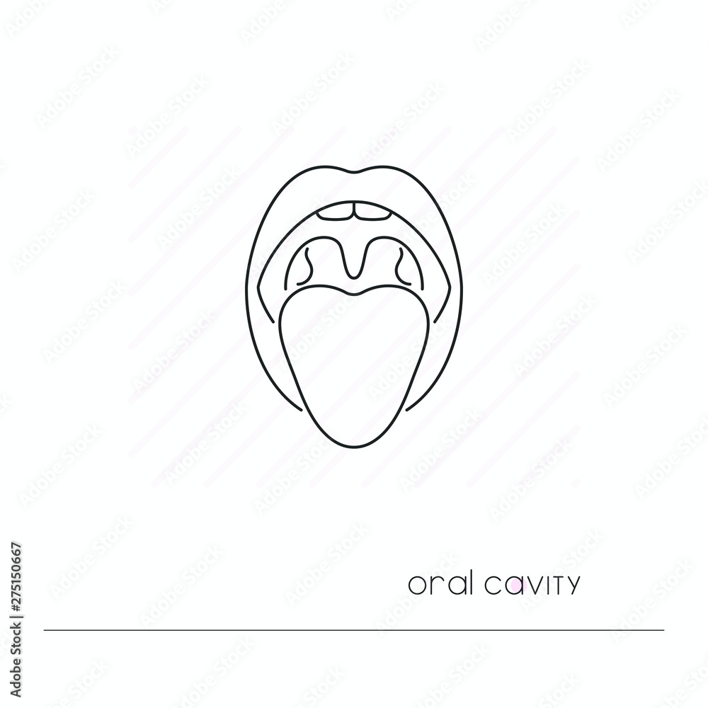 Mouth icon isolated. Single thin line symbol of oral cavity. Human body ...