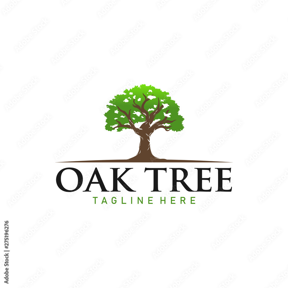 Oak Tree Logo Design
