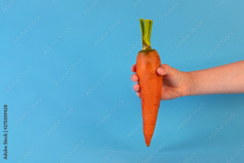 Child hand holding raw carrot front view. Fresh vegetable with carotene ...