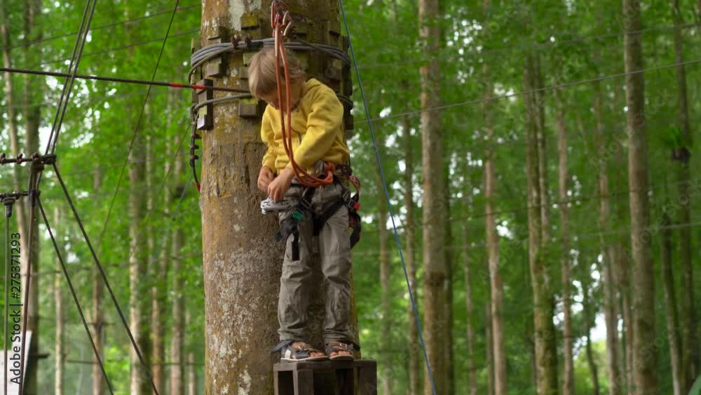 Little boy in a safety harness getting ready to ride a zipline in ...