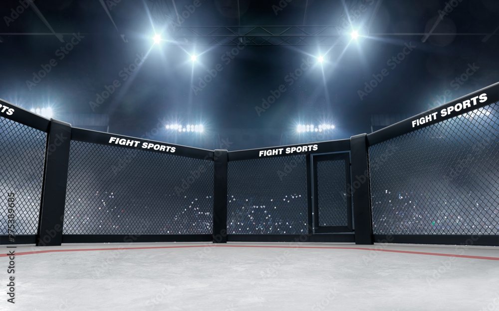 3D render MMA arena. MMA octagon cages. Stock Illustration | Adobe Stock