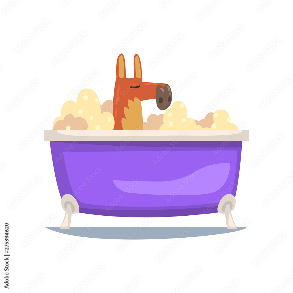 Funny Kangaroo Taking Bath, Funny Animal Cartoon Character Relaxing in ...
