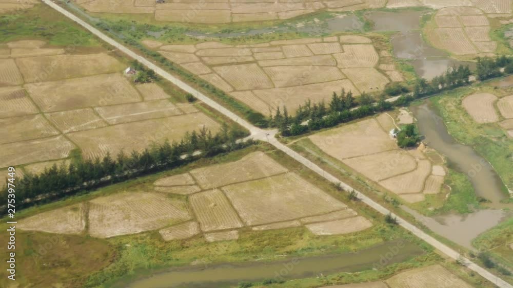 Dry arid soil Biological soil crust surface in arid and semi-arid ...