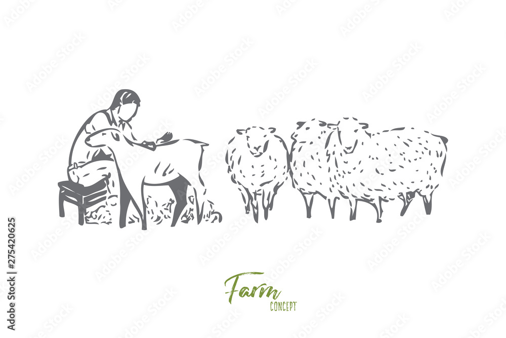 Collecting wool concept sketch. Isolated vector illustration Stock ...