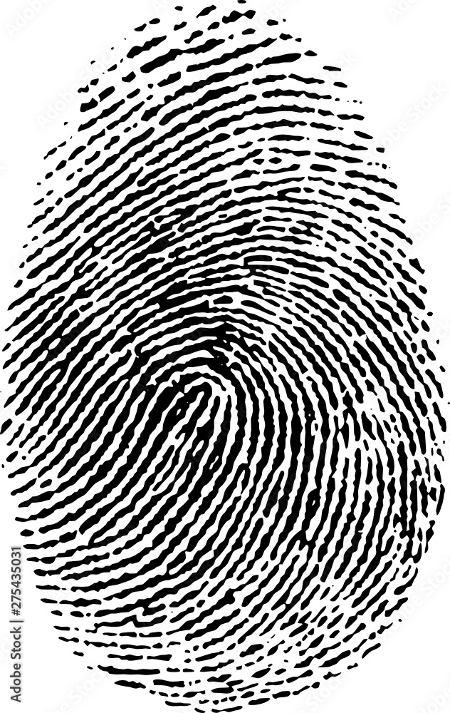 High quality illustration of human fingerprint isolated on white ...
