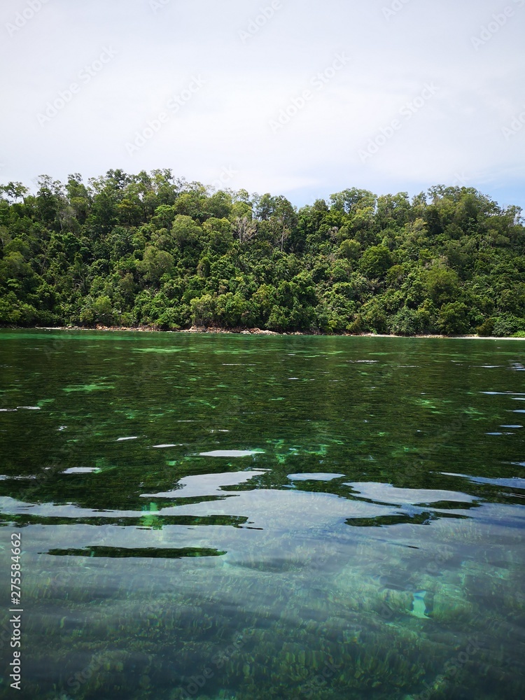 Beautiful crystal clear water with healthy coral reefs undersea from ...